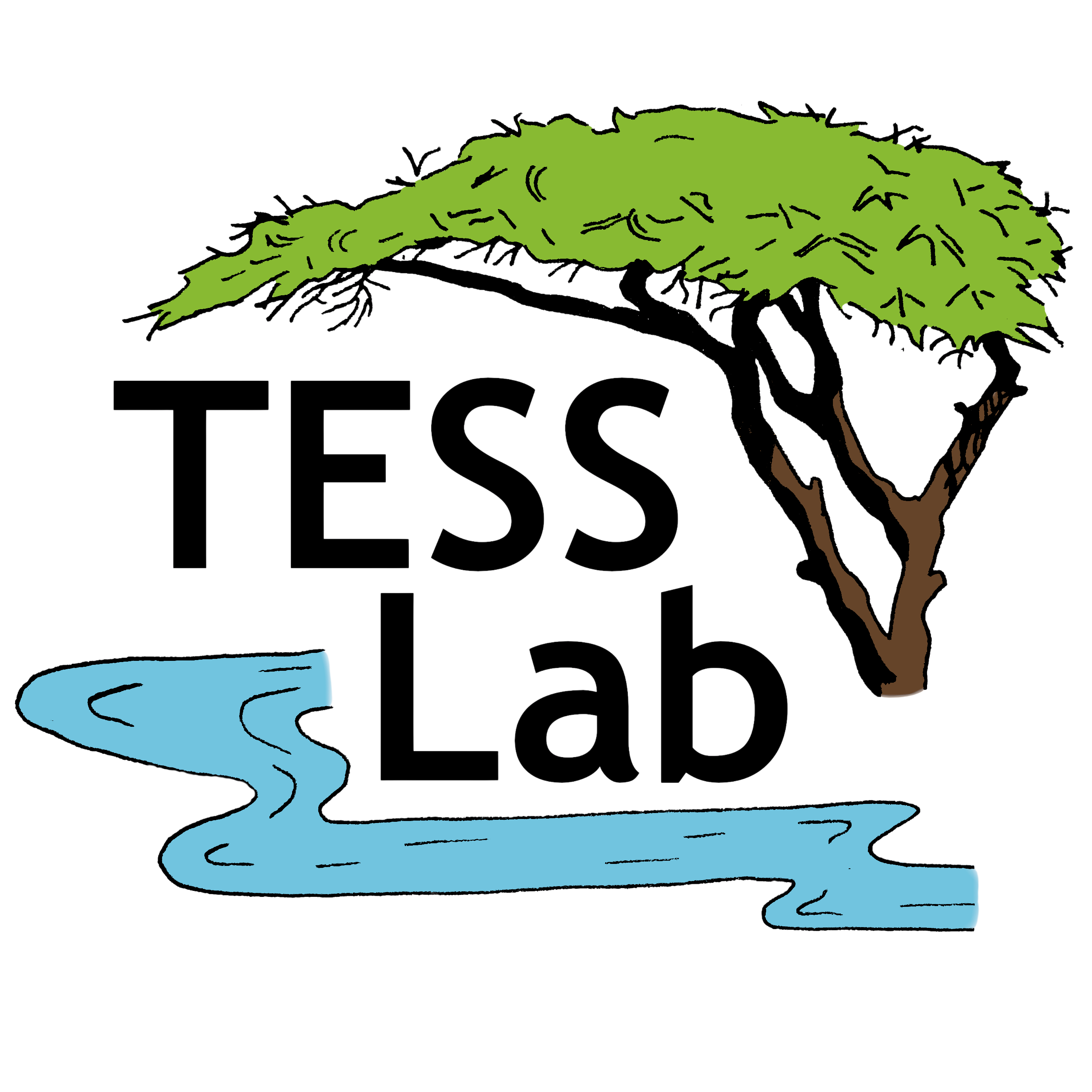 Baobabs in Africa Mapped (BAM) – Oppenheimer Programme in African ...